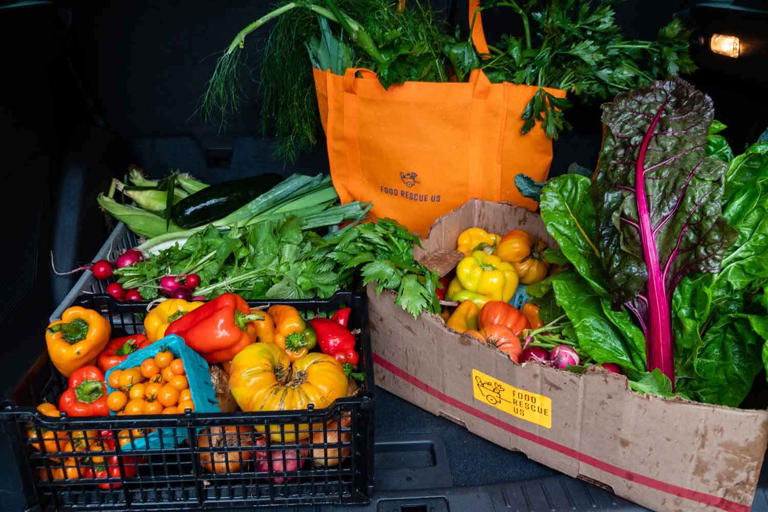 Columbus Location Partners with Save More Than Food - Food Rescue US