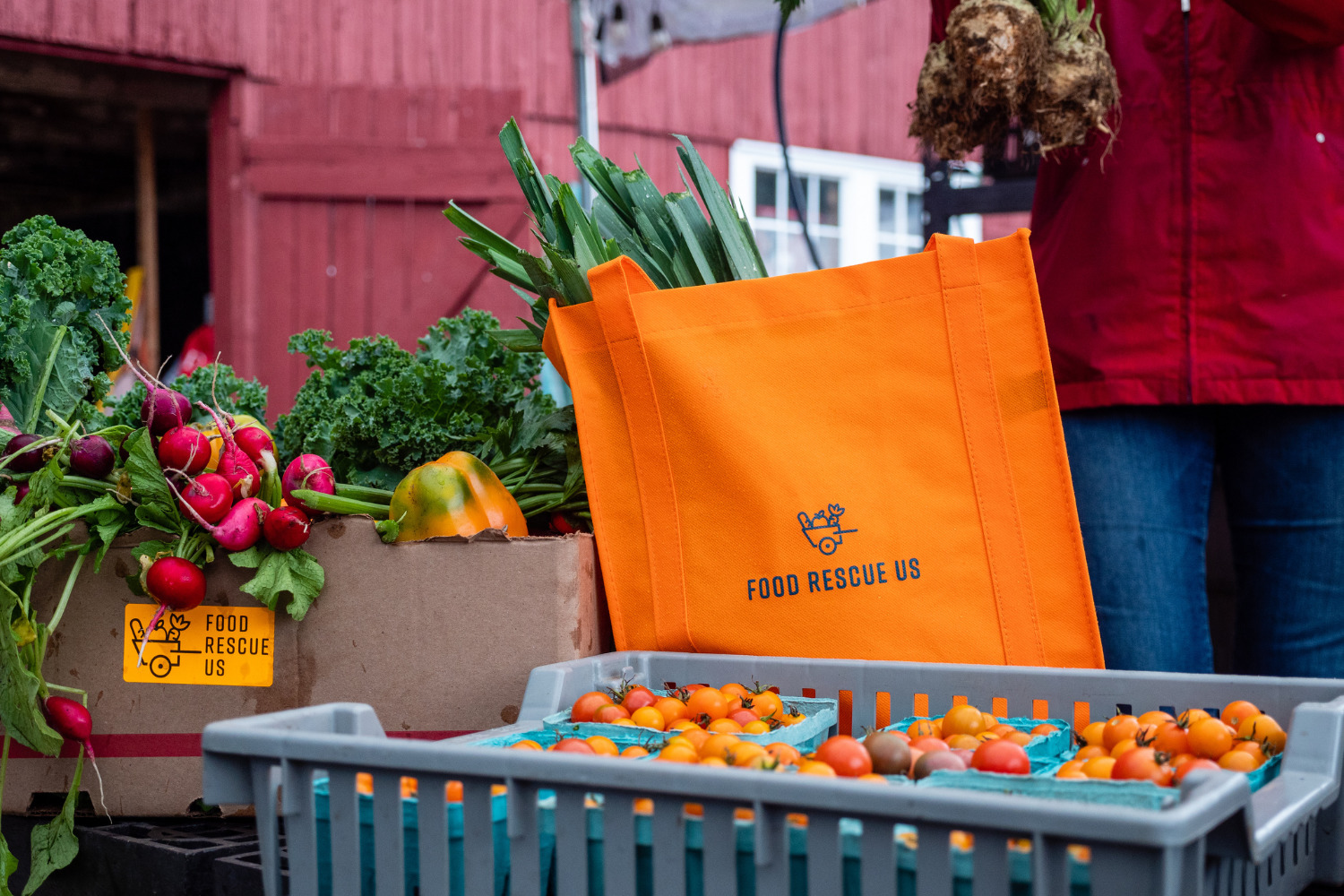 Food as Medicine: 2,400 Years in the Making - Food Rescue US