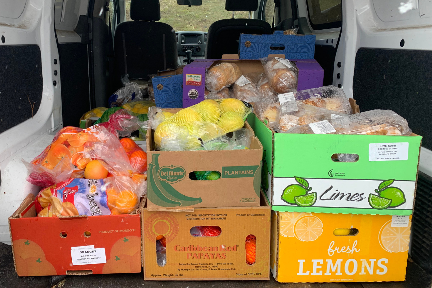 Food as Medicine: Digestible Bites - April 2023 - Food Rescue US